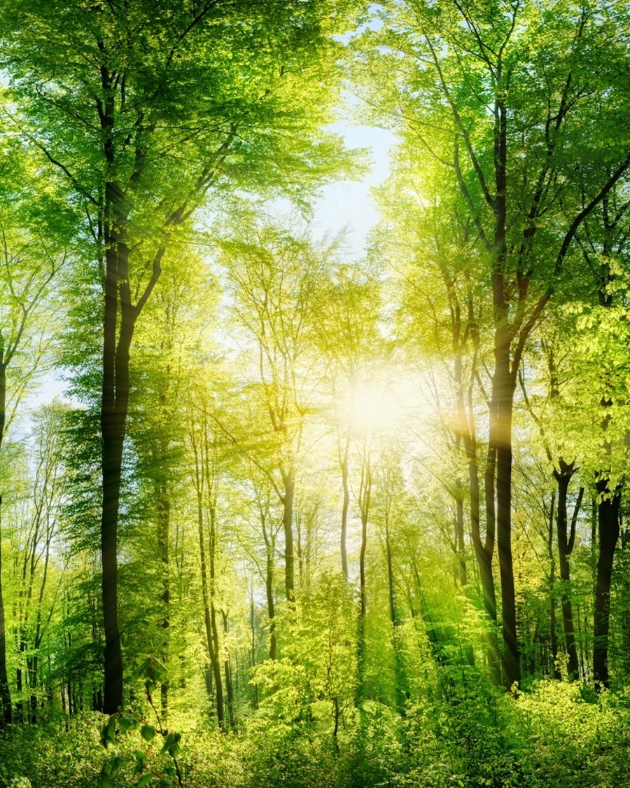 Safe For The Environment safe-for-the-environment